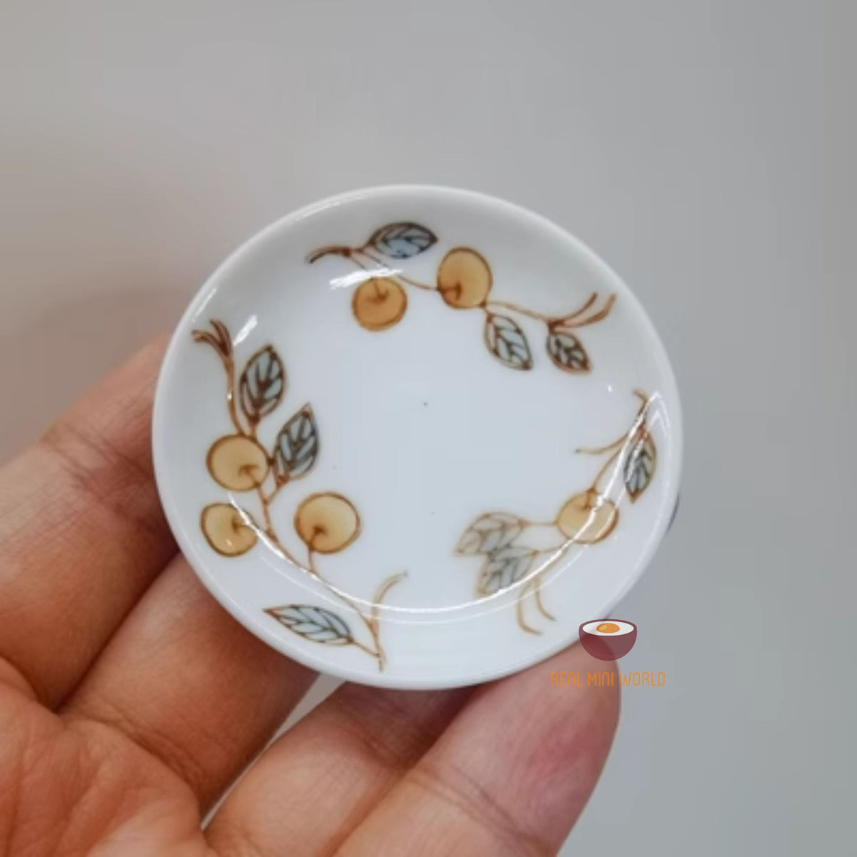 Miniature Ceramic Plate Collection for Tiny Food| Mini Cooking Shop ...