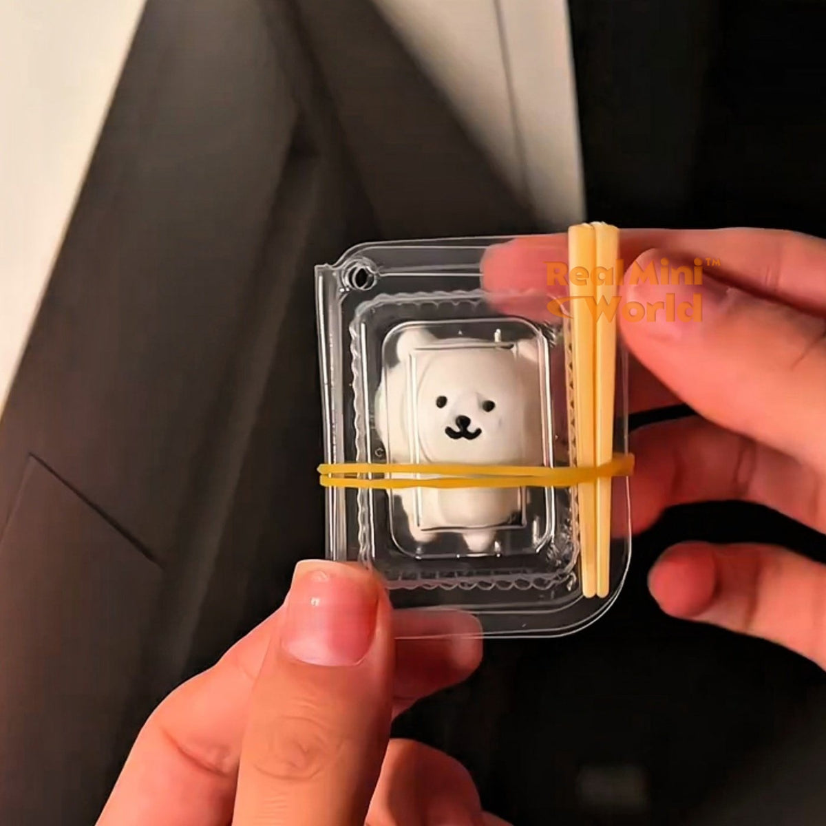Mini Bear Taba Squishy in Takeout Box | Miniature Squishy Shop – Real ...
