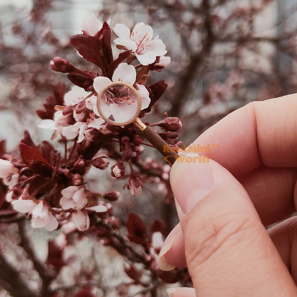 Miniature REAL Magnifier | Miniature Dollhouse Shop – Real Mini World